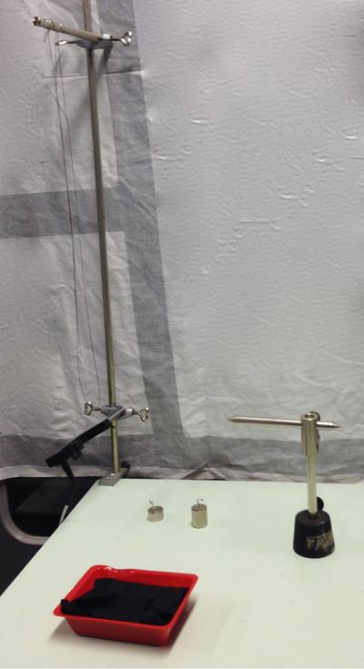 Fadenpendel und Freier Fall – PhySX - Physikalische Schulexperimente Wiki